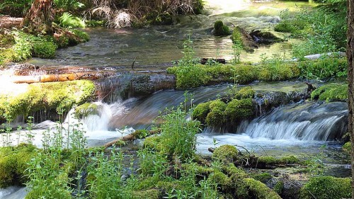 Jack Creek | family camping