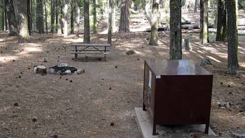 Top Reasons to Go Camping in the Spring | family camping